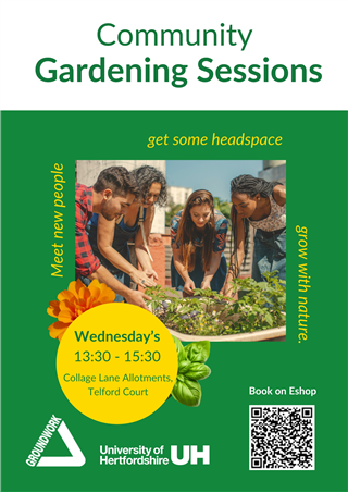 College Lane Allotment Workshops
